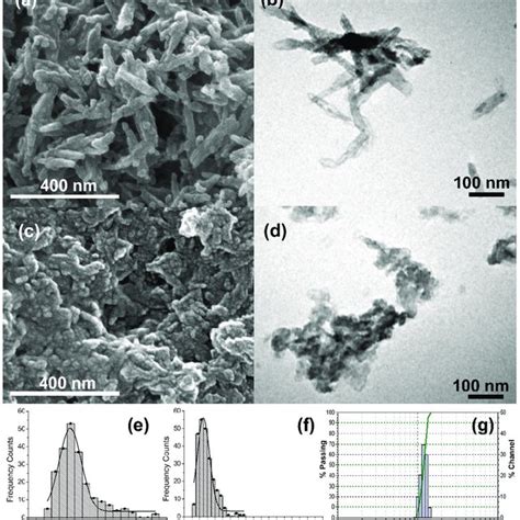 Dependence Of Grain Size Pores Size Total Porosity Or Density Of Download Scientific Diagram