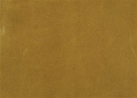 Echo Fawn Taylor King