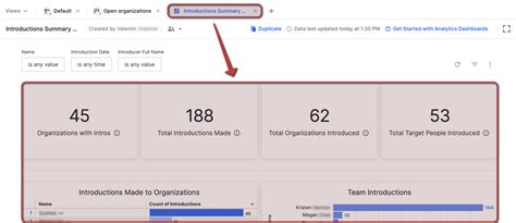 Affinity Analytics Introductions Summary Reports