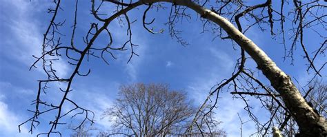 How To Detect A Cycle In A Linked List Dev Community