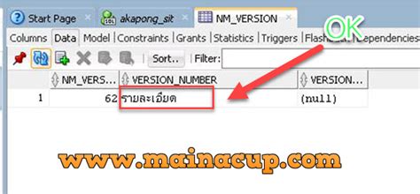 วิธีตั้งค่าให้ Insert ข้อมูลภาษาไทยใน Sql Developer Oracle 11gรับเขียน