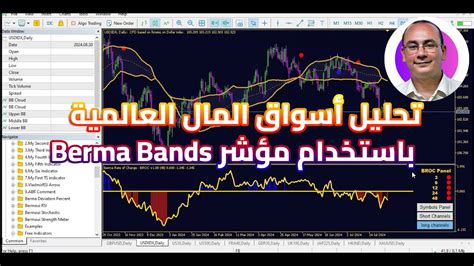 تحليل أسواق المال العالمية باستخدام مؤشرات بيرما Youtube
