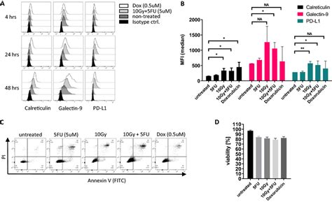 Chemo Radiation Treatment Induced Icd In Hct116 Cells Hct 116 Cells