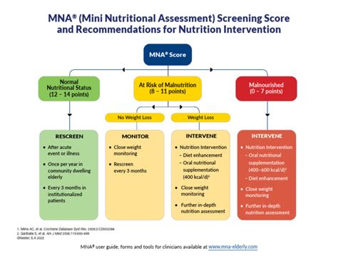 Mna Nutrition Screening Score And Recommendations For Nutrition