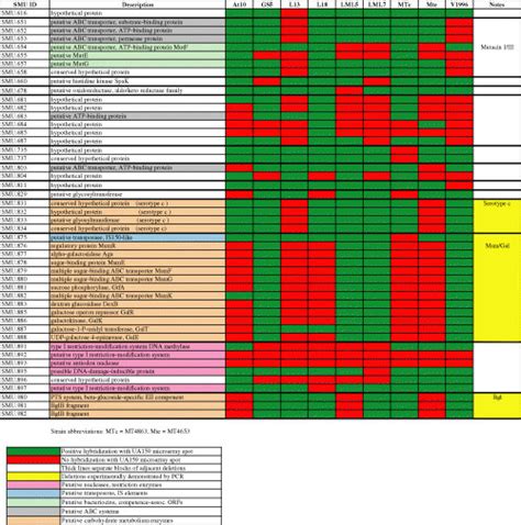 Representative Region Of Microarray Data Showing Open Reading Frames Download Scientific