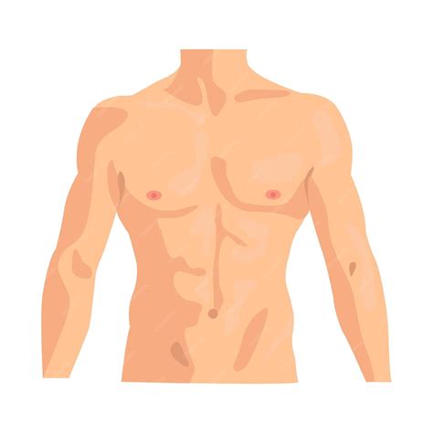 Premium Vector Male Body Correction Illustration In Color Cartoon Style