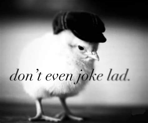 Tadc Bizco On Tumblr