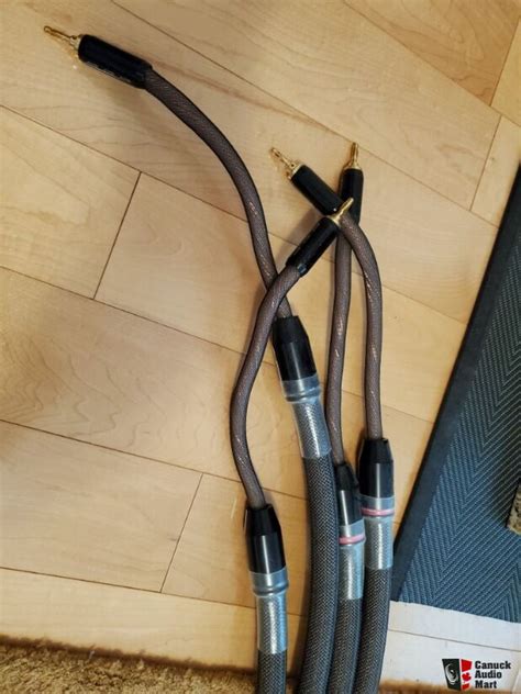Tara Labs The One Speaker Cables 8 Ft Pending Shipment