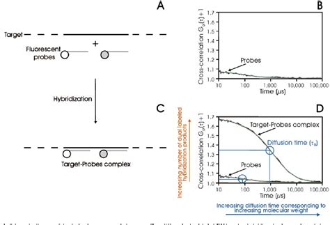 Figure 1 From Gene Expression Analysis Using Single Molecule Detection