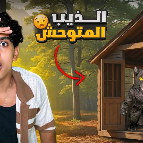 Post From Bassem Otaka