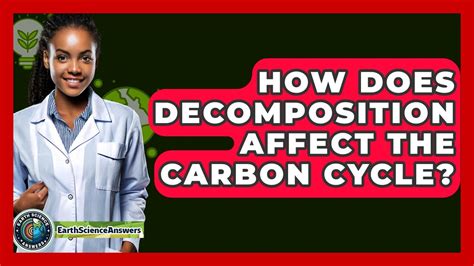 How Does Decomposition Affect The Carbon Cycle Earth Science Answers