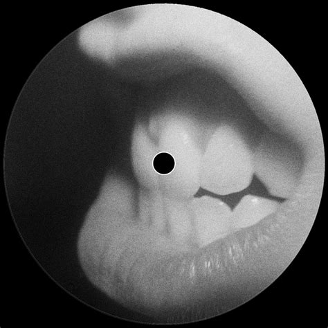 Naiche Sex Stylish Original Mix Tijolo Records Music