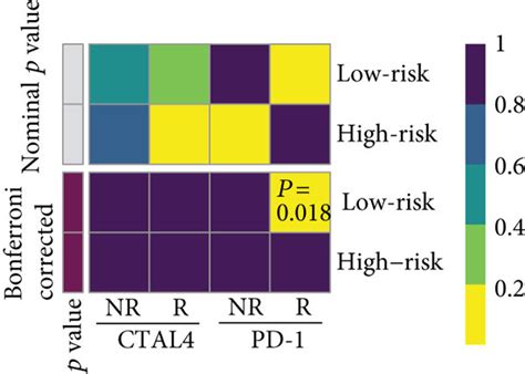 The Immunocyte Infiltration Landscape Of Acc Was Revealed By Ssgsea