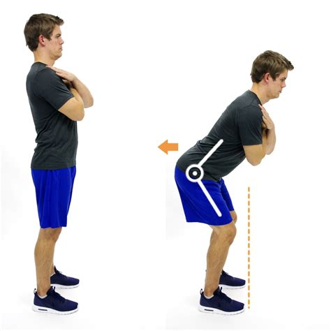 Your Body In Motion The 7 Primal Movement Patterns Salinas Physical