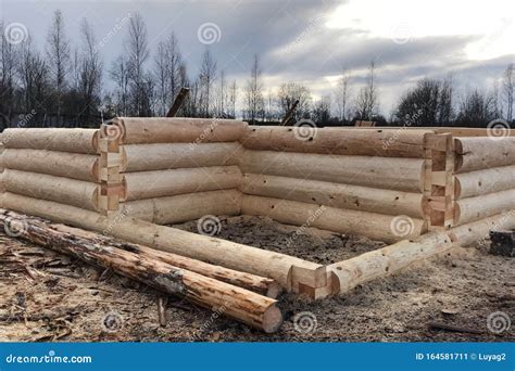 Preparation Of Logs For The Assembly Of Structure Materials For Stock