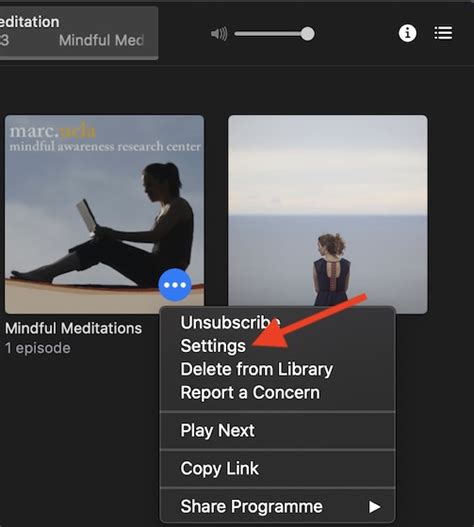 Best Tips And Tricks To Use Apple Podcasts App On Mac Beebom