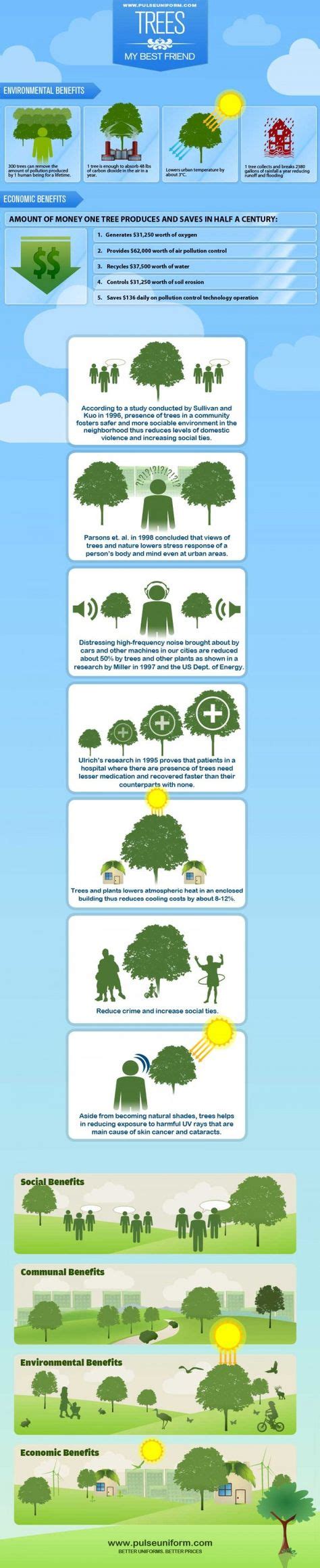 57 Ideas For Trees Cadette Badge Cadette Badges Tree Identification