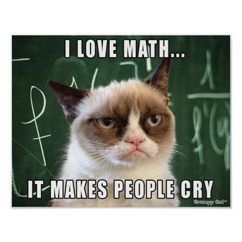 Grumpy Cat Poster I Love Math It Makes People Cry Poster Zazzle