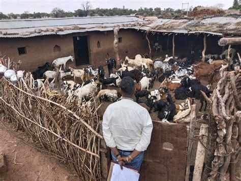 Its All About Traceability When Organic Is The Subject Organic