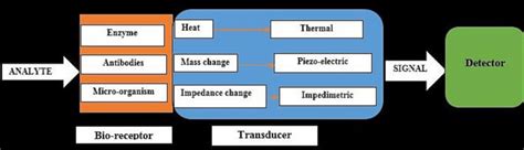 Schematic Representation Of Biosensor Components Download Scientific