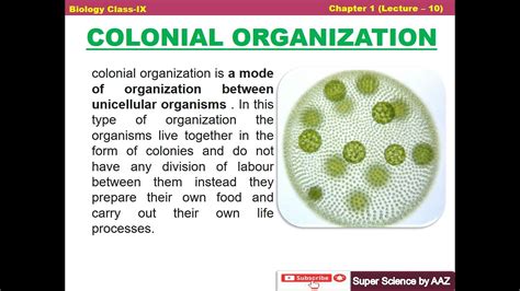 Biology Lecture For Class 9th Chapter 1 Lecture 10 Unicellular