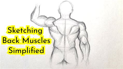 Sketching Back Muscles Simplified How To Draw Human Figure Drawing