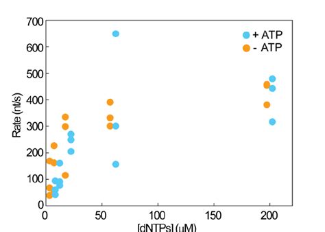 Fig S8 Scatter Plots Showing Replication Rates As A Function Of Dntp