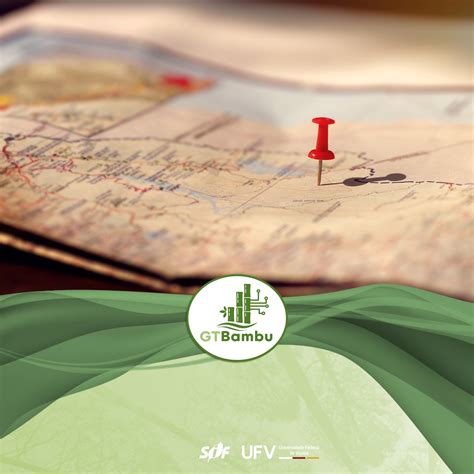 Gt Bambu Realiza Meeting Sobre Zoneamento Climático Aplicado Ao Cultivo Do Bambu No Brasil Sif