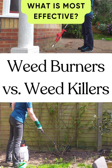 Best 13 Cutting Weeds Vs Pulling Which Method Really Works Artofit