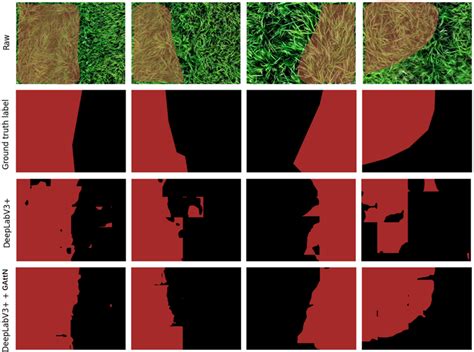 Samples Of Rice Lodging Detection Download Scientific Diagram