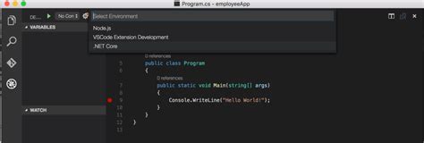 developing c applications on mac os using vs code alternate stack