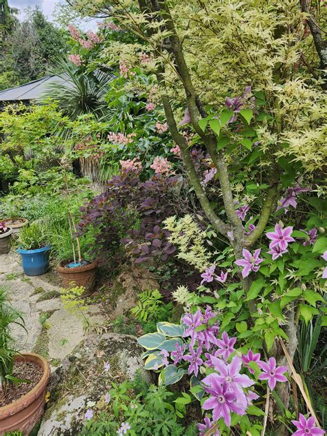 More Right Than Wrong Ramblin Through Daves Garden