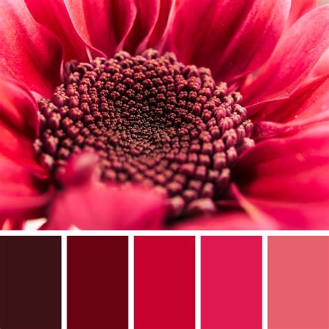 20 Best Maroon Color Palettes Colors That Go With Maroon Creativebooster