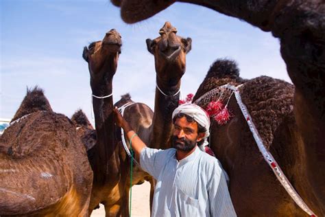 Al Dhafra Festival 2024 All You Need To Know