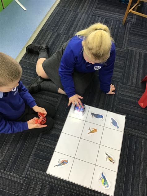 P3 Were Programming Bee Bot To Find Garden Birds