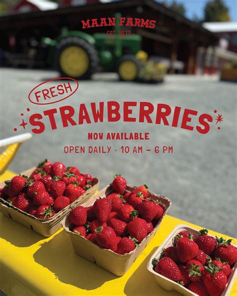 Maan Farms Now Open Daily Until 6 Pm 🌷 🍄 If You Havent Visited Our
