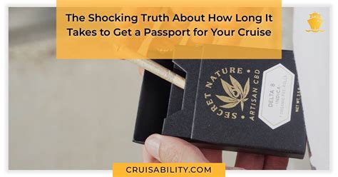 Passport Processing Time The Shocking Truth About How Long It Takes To