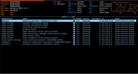 Run Raycluster Apache Yunikorn