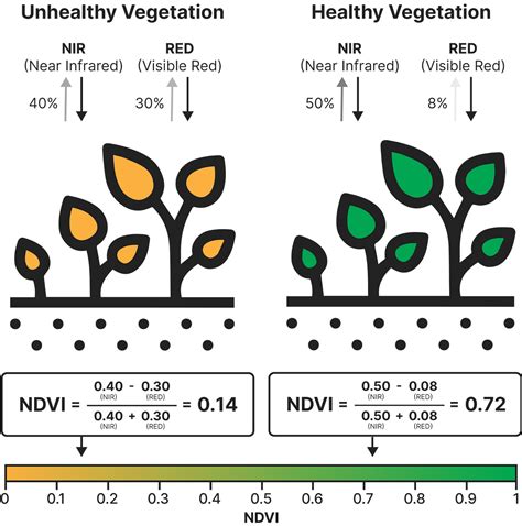 Python Powers Up The Rise Of The Python Api For Earth Engine By