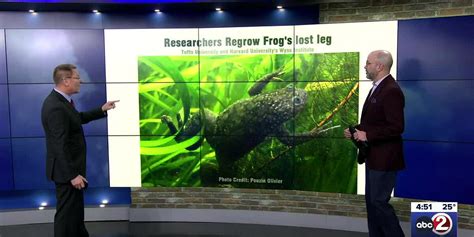 3 Brilliant Minutes Regrowing Limbs