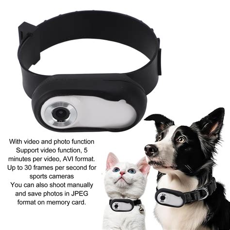 The Definitive Guide To Kitty Cam Collar Cost Materials And Top Vendors