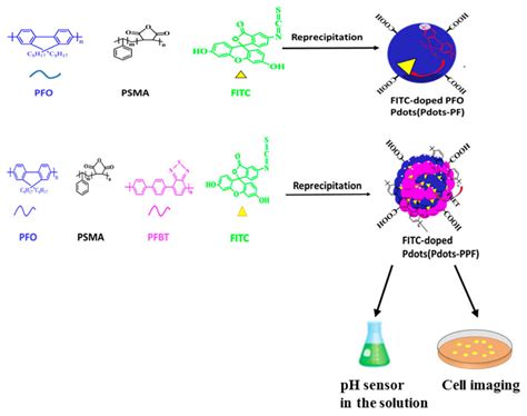 Scheme 1 A Scheme Showing The Preparation And Application Of Pdots Pf Download Scientific