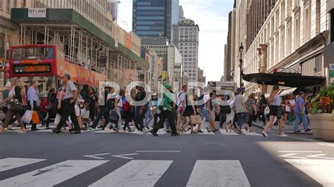 Detail Python Tkinter Menampilkan 2 Gambar Askopen Koleksi Nomer 59