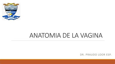 Anatomía De La Vagina Alfredo Loor Udocz