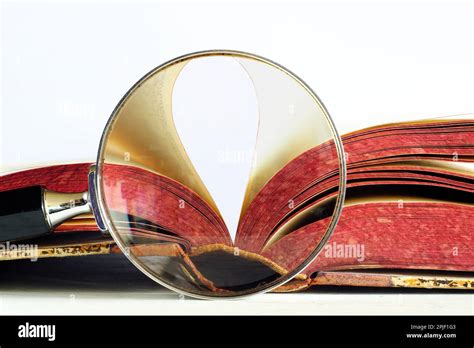 Magnifying Glass Reading At Lawrence Gooden Blog