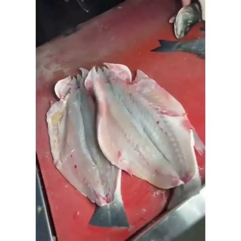 ماهی قزل‌آلا کبابی یا سوخاری 😋👌🐟🐟فکر کنم کبابی سالم تر باشهcooking Foodblogger ماهی آشپزی