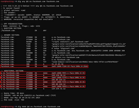 Como Funciona El Protocolo Dns Deep Hacking