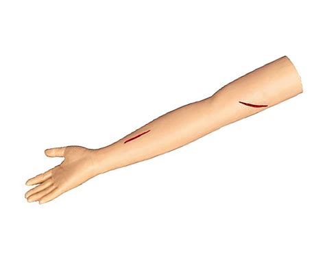 Buy Gkply Upper Limb Arm Incision And Suture Exercise Model Surgical