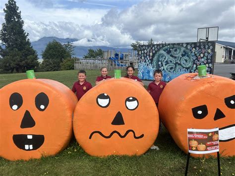 Pumpkin Contest Under Way Greymouth Star