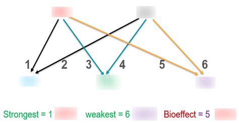 Chapter 5 Intensities Diagram Quizlet